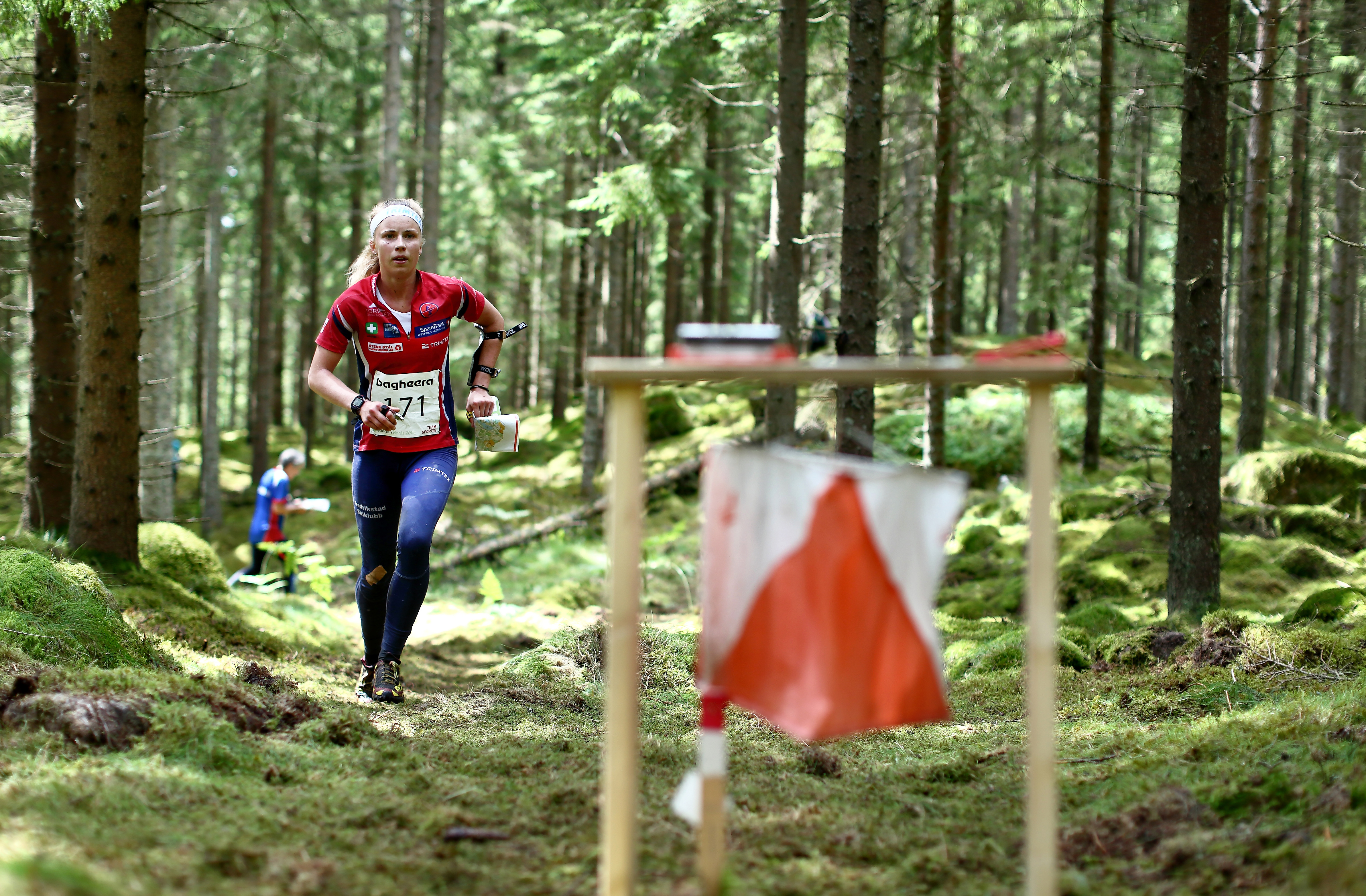 Svenska Orienteringsförbundet