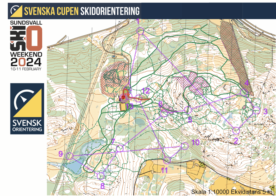 Sandberg och Ståhl medeldistansvinnare - Orienteringsförbundet