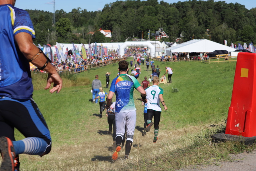 O-Ringen - Orienteringsförbundet